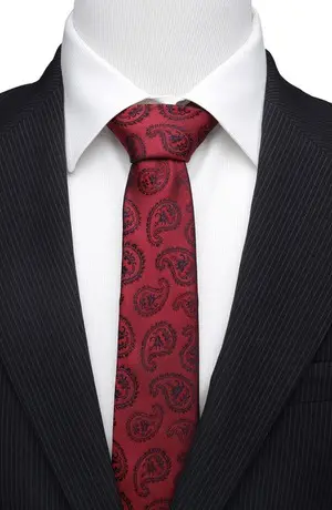 CUFFLINKS, INC. Paisley Neck Tie