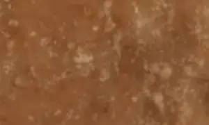 54 THRONES Duafe Hibiscus Polish Bar