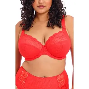 Elomi Elomi Charley Full Figure Plunge Bra Salsa