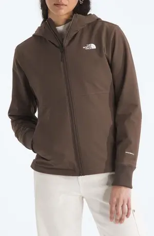 The North Face Brown Tech