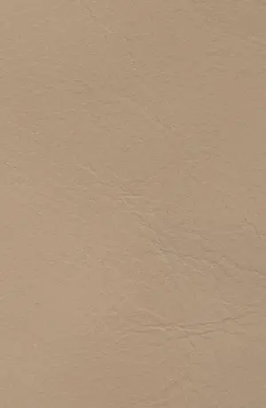 ADA Classic Leather Wrap Belt - Latte