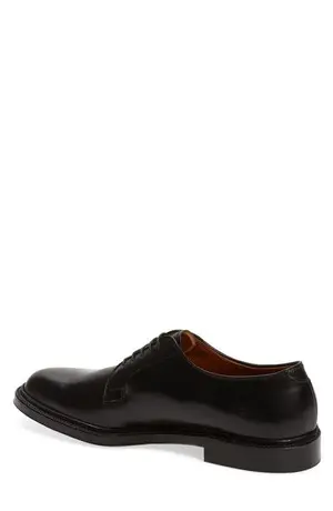 Alden Plain Toe Blucher Derby