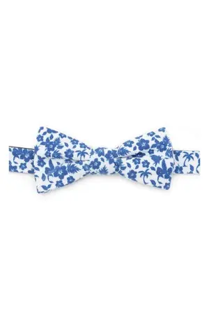 CUFFLINKS, INC. Cufflinks, Inc. Printed Bow Tie Blue