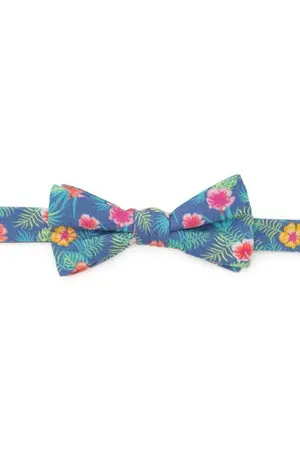 CUFFLINKS, INC. Printed Bow Tie