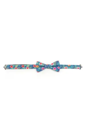 CUFFLINKS, INC. Printed Bow Tie