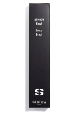 HAIR RITUEL BY SISLEY Blush Brush - No Color