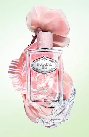 Prada Les Infusions De Rose Eau De Parfum - No Color