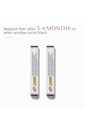 T3 Source 2-pack Hand-held Replacement Filter