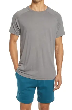 Alo Yoga The Triumph Crewneck T-shirt Shadow Grey