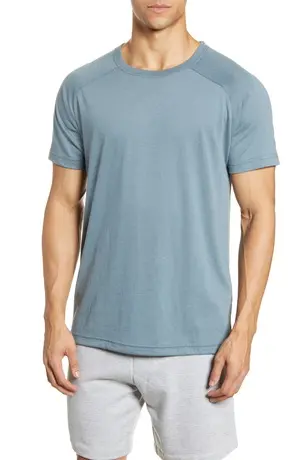 Alo Yoga The Triumph Crewneck T-shirt Slate