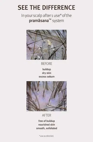 Aveda Pramsana™ Exfoliating Scalp Brush