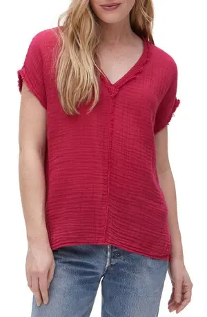 Michael Stars Draya V-Neck T-Shirt Jam