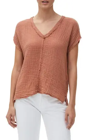 Michael Stars Draya V-Neck T-Shirt Terra