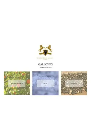 PARFUMS DE MARLY Galloway Eau De Parfum - No Color