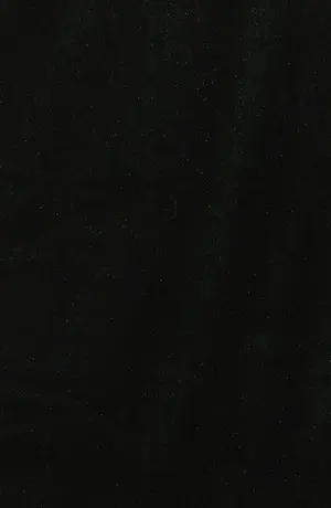 Endless Rose Velvet Blazer - Green