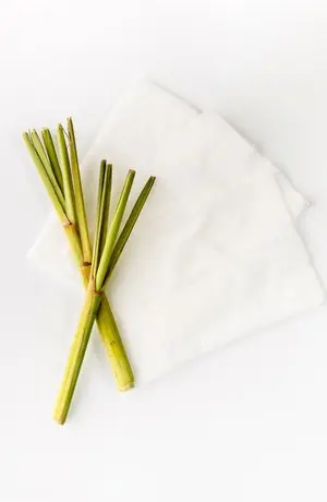 NUDESTIX Lemongrass + Coconut Cleansing Cloth