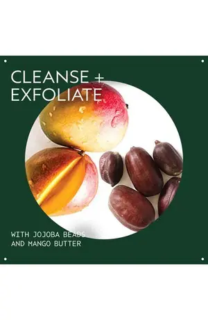 Aveda Botanical Kinetics™ Exfoliating Creme Cleanser