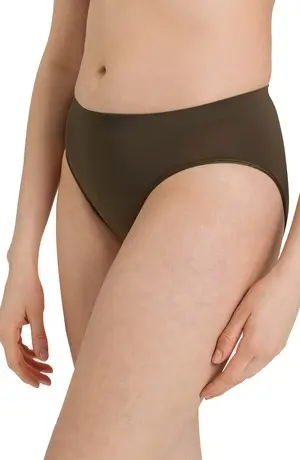 Hanro Touch Feeling High Cut Briefs 2845 - Wood