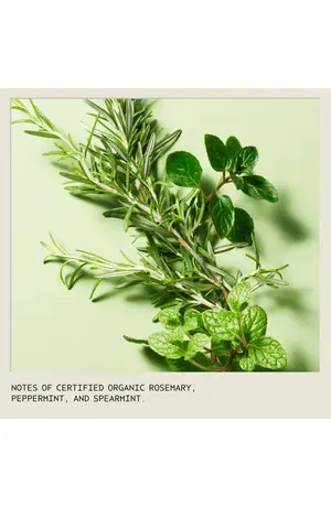 Aveda Rosemary Mint Purifying Shampoo