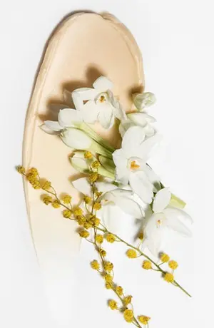 CHANTECAILLE Gold Recovery Face Mask - None