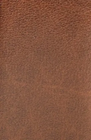 Nordstrom Reversible Leather Belt