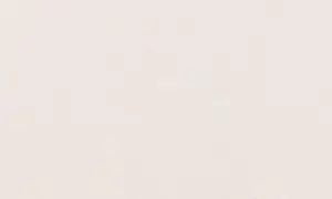 SKIMS Sculpting High Waist Briefs