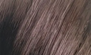 PHYTO Color Permanent Hair Color - 4 Brown