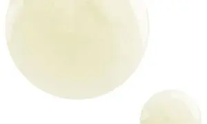 HAIR RITUEL BY SISLEY Hair Rituel Restructuring Nourishing Balm