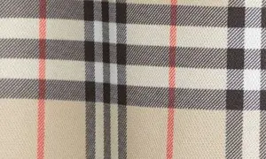 Burberry Debson Check Tech Shorts