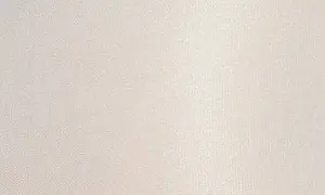 Natori 2-pack Shimmer Sheer Pantyhose