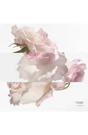 Hermès Eau De Pamplemousse Rose Eau De Toilette