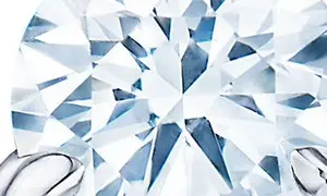 Kwiat 0.50ct Diamond Stud Earrings - Platinum