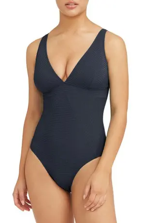 SEA LEVEL Sea Level Panel Line Multifit One-Piece Swimsuit Storm Blue