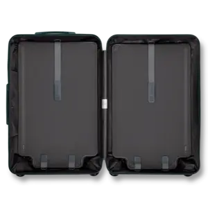 RIMOWA Essential Check-in L Suitcase