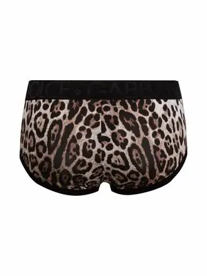 Dolce & Gabbana Leopard-print Boxer Briefs - Neutrals