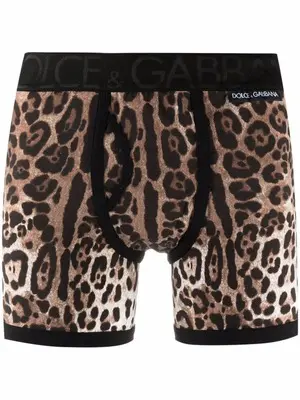 Dolce & Gabbana Leopard-print Long-leg Briefs - Neutrals