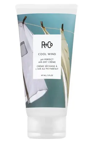 R+Co Cool Wind Ph Perfect Air-dry Hair Styling Cream - No Color