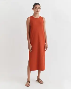 Cuyana Drape-Back Dress Paprika