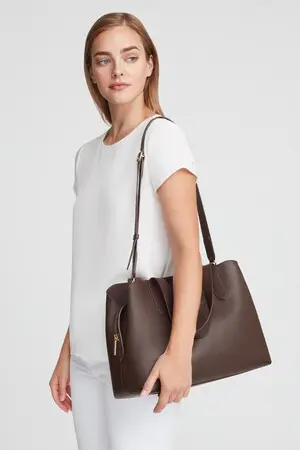 Cuyana Zippered Satchel Bag
