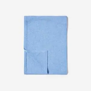 Everlane Cashmere Scarf Sky Blue