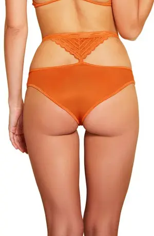 HAUTY High Waist Microfiber & Lace Panties