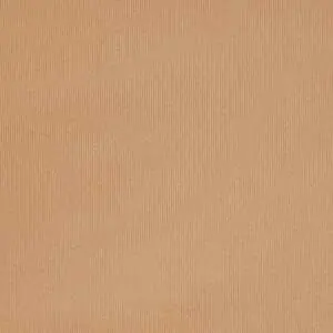SKIMS Cheeky Brief | Light Neutral | | Fits Everybody - Ochre