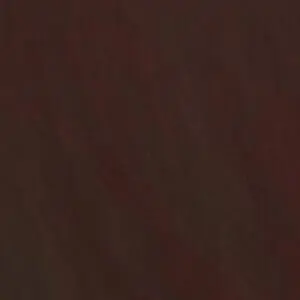SKIMS Fits Everybody Long Sleeve Crew Neck Bodysuit - Cocoa