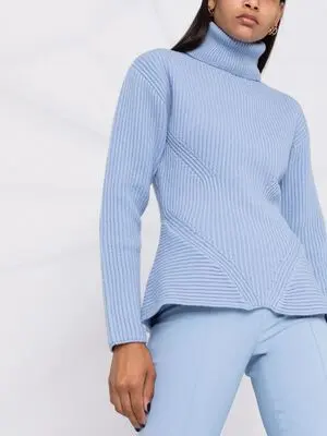 Elisabetta Franchi Ribbed-knit Roll-neck Jumper
