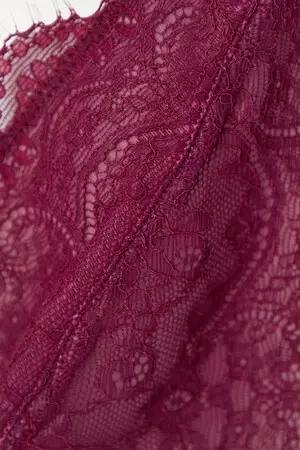 DORA LARSEN Kiran Lace And Stretch-tulle Soft-cup Triangle Bra