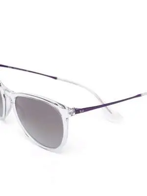 Ray-ban Pantos-frame Sunglasses
