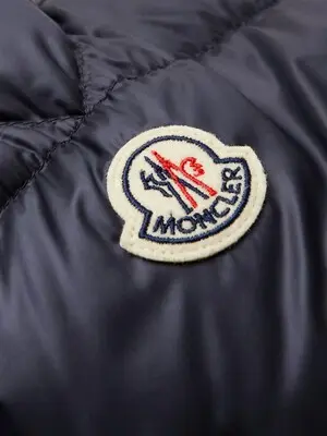 Moncler Salzman Logo-print Quilted Shell Down Jacket