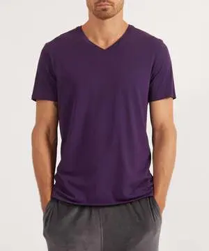 ATM Anthony Thomas Melillo Men's Classic Jersey V-neck T-shirt Cotton Purple