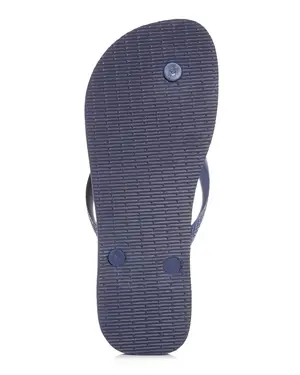 Havaianas Brazil Flip Flop Sandals