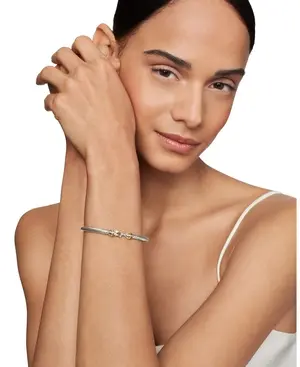 David Yurman Buckle Classic Cable Bracelet - Gold/silver